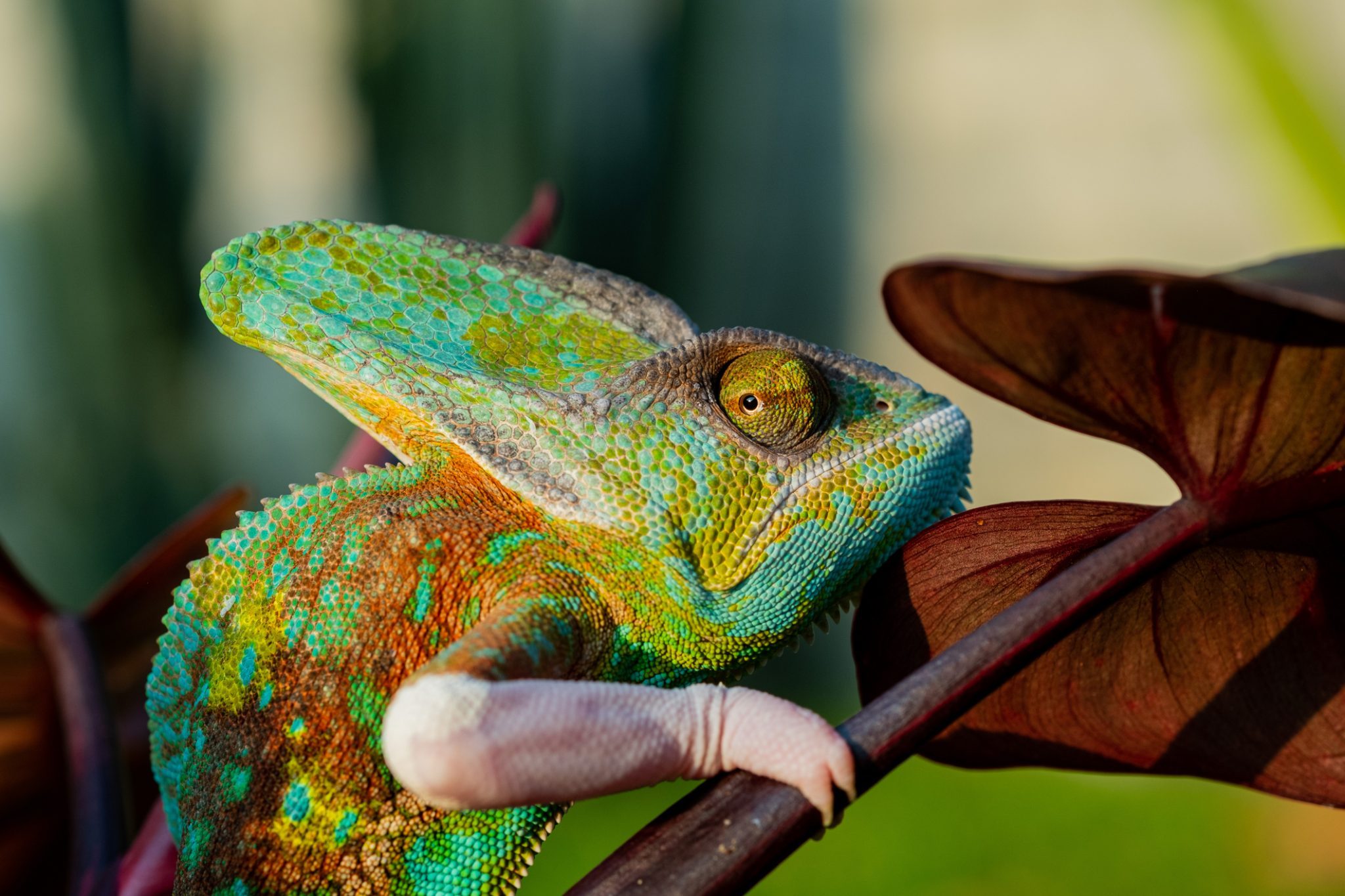 Color and Style – creative virtuosity